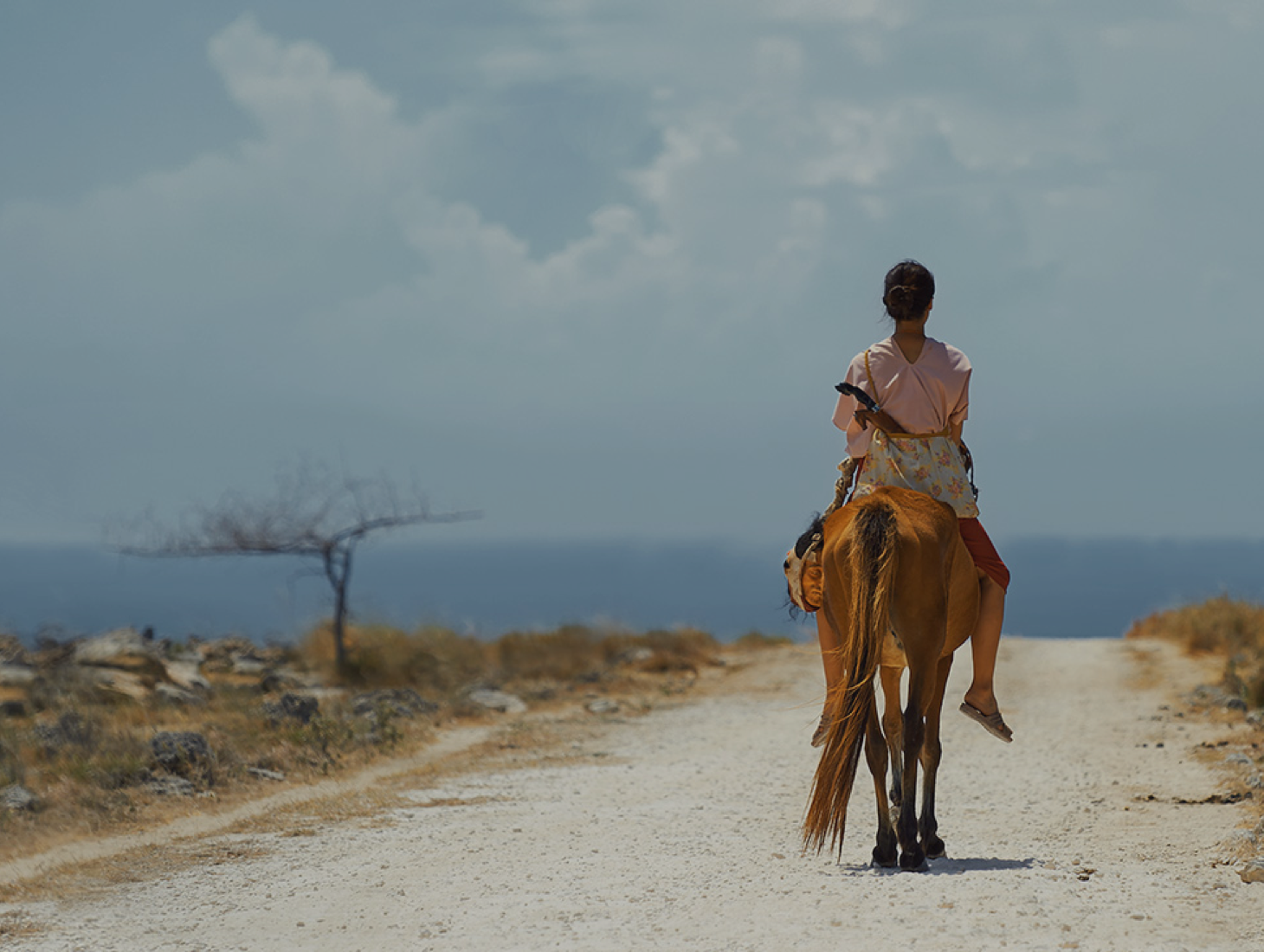 Evaluation - Film Hub Midlands